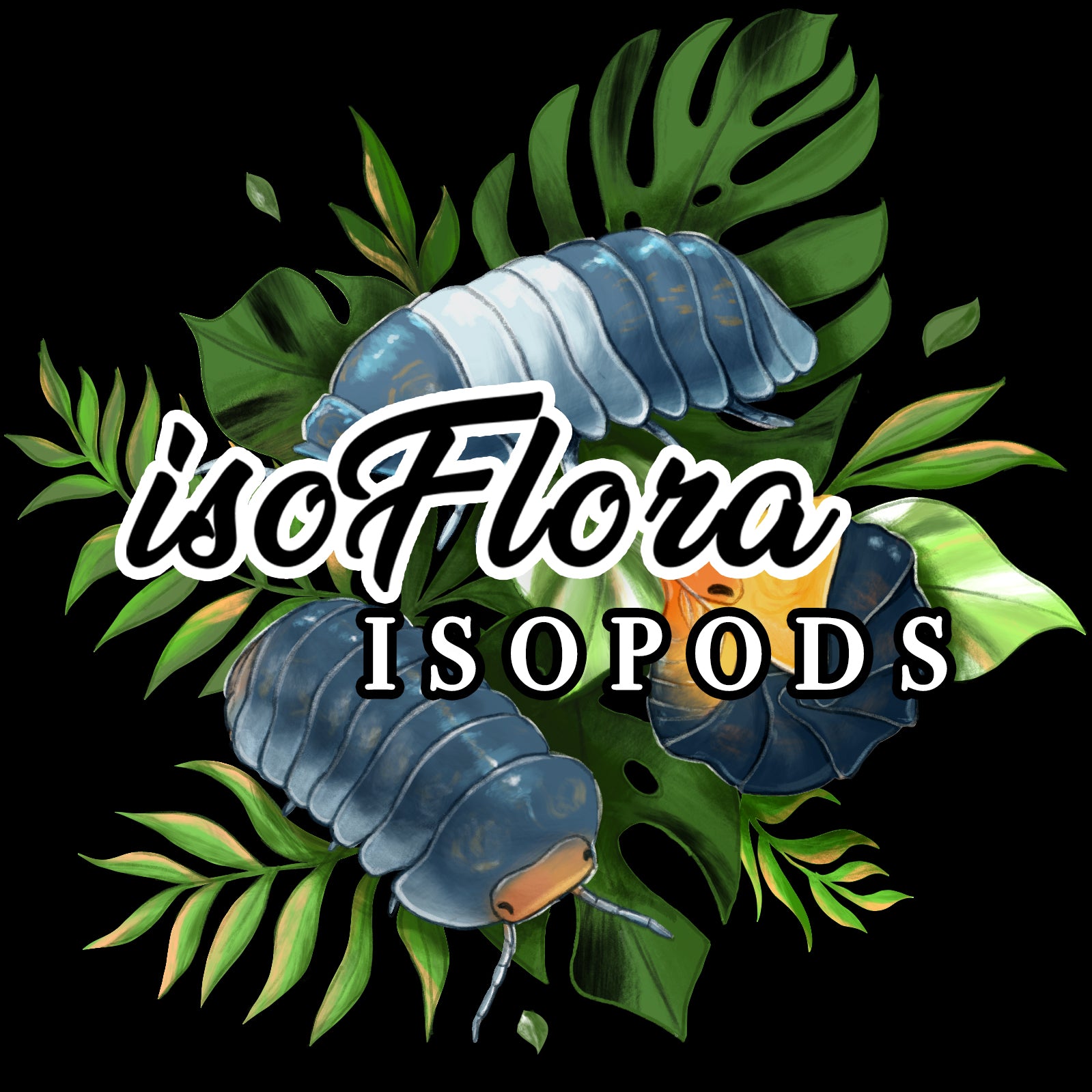 A Color Coded Chart To Choosing Your Isopods and Springtails – Isoflora