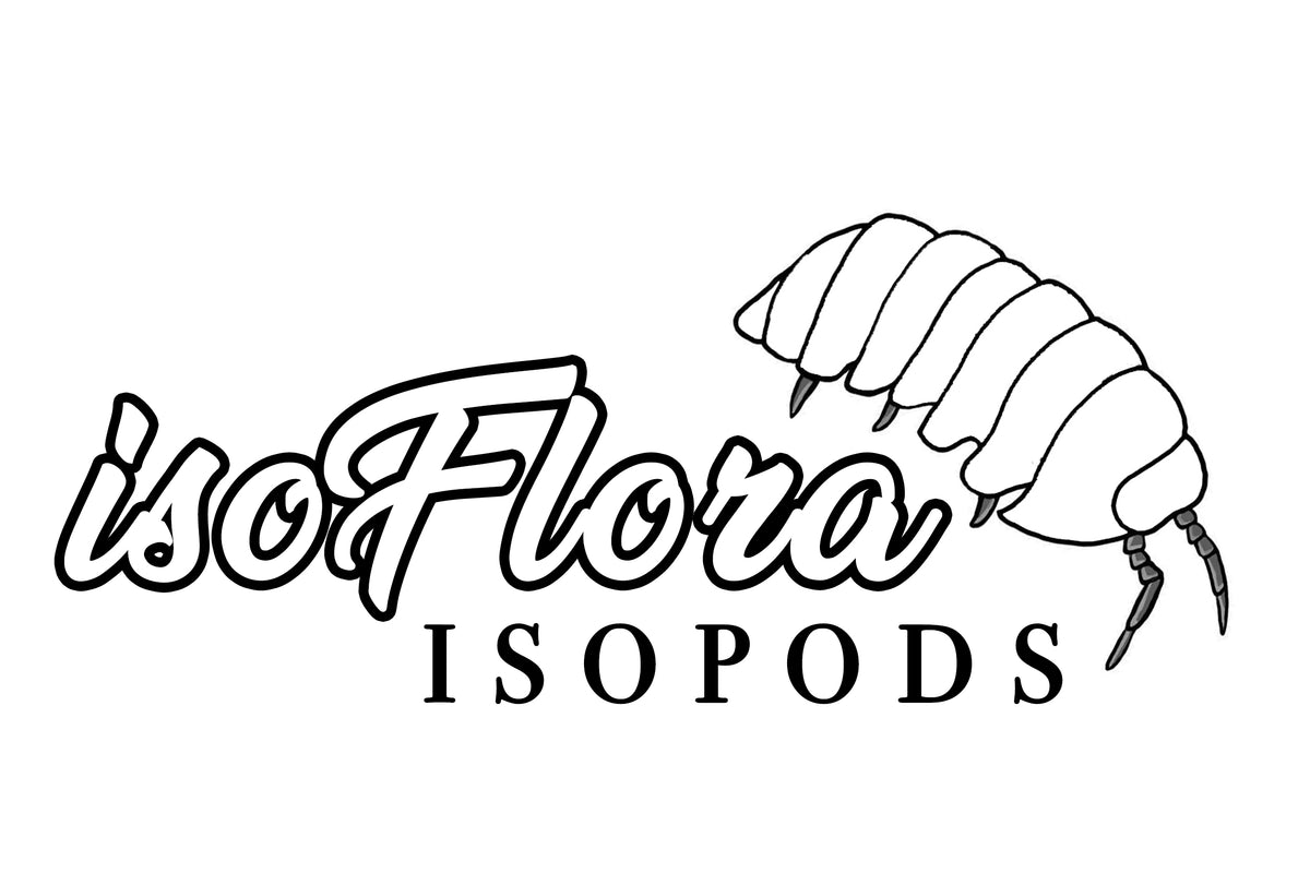 Arid Isopods – Isoflora
