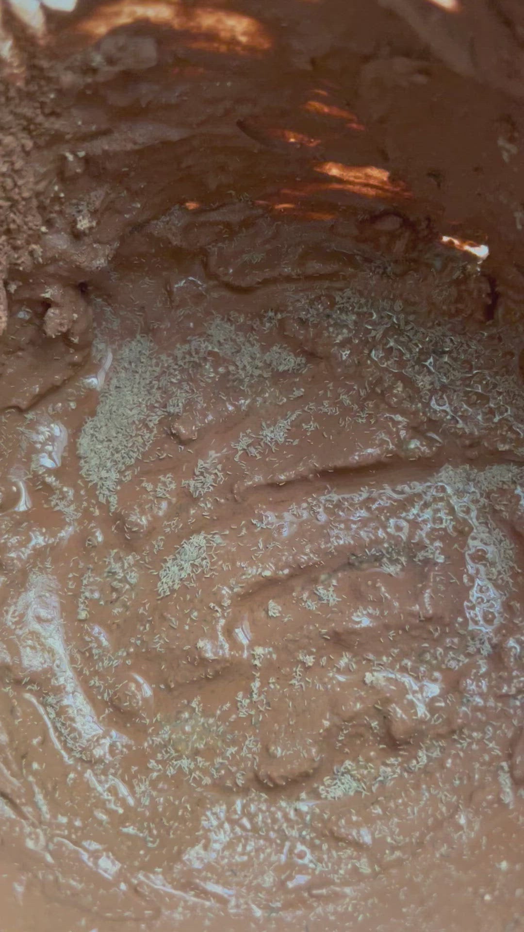 Blue Podura Springtails – Isoflora